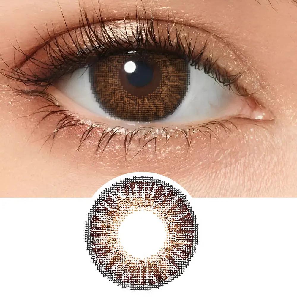 CELEBRATION WEEKLY PREMIUM COLOR LENS (10 LENS/BOX)-BROWN - Lensexpert